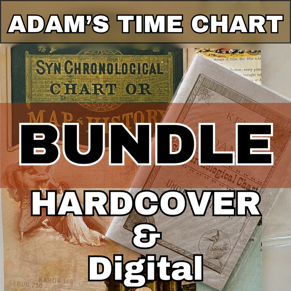 Adams Time Chart – Lost World Museum